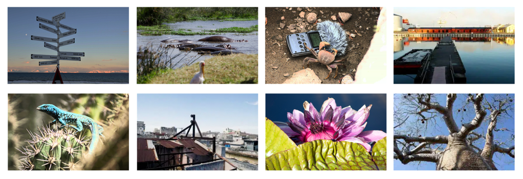 Environmental Sound Art: Learning Concepts, Crafts, Technique, and ...